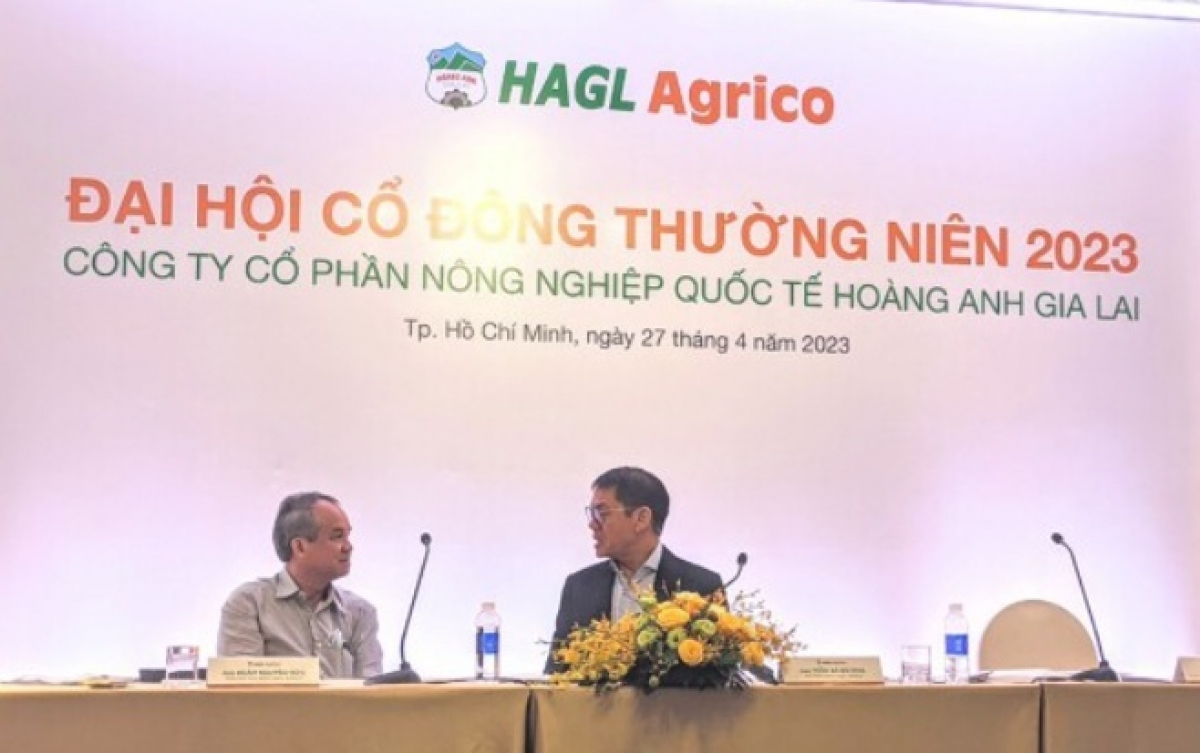 HAGL Agrico (HNG): Đột biến vừa xuất hiện sau nhiều năm, '2025 chắc chắn có lãi' - UNExpress ...