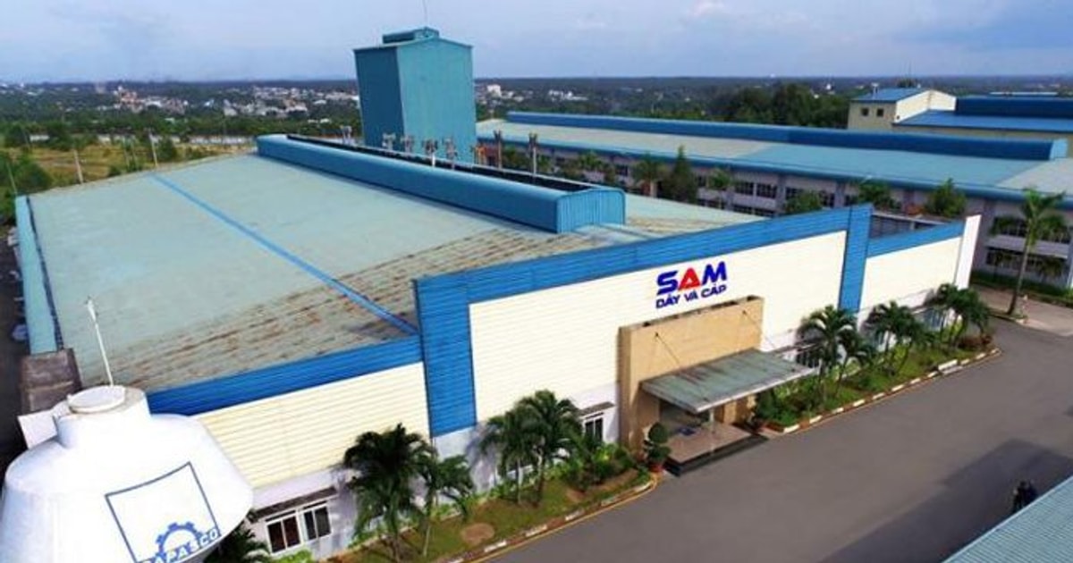 SAM Holdings (SAM) đặt kế hoạch kinh doanh “đi ngang”, dự chia cổ tức ...
