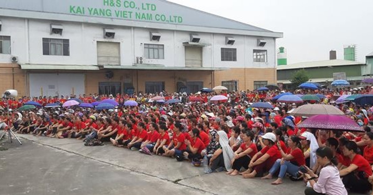 Agribank rao bán tài sản đảm bảo liên quan đến Công ty Kai Yang