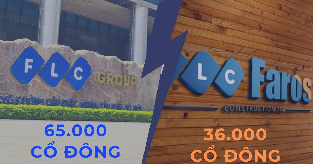 FLC và ROS sau hủy niêm yết: 1 thương hiệu - 2 số phận, ai bảo vệ quyền ...