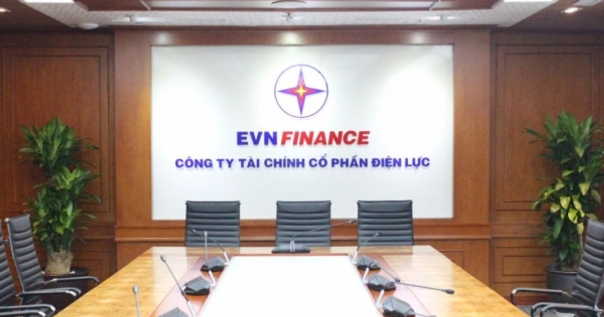 EVN Finance (EVF) chuẩn bị họp ĐHCĐ, đặt mục tiêu lợi nhuận đạt 560 tỷ đồng trong năm 2023