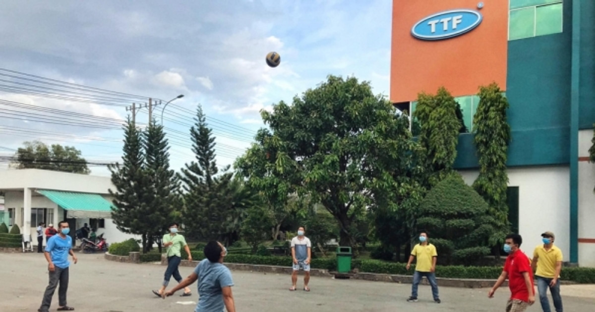 Gỗ Trường Thành (TTF) báo lãi còi quý 1/2023, lỗ lũy kế vẫn hơn 3.000 tỷ