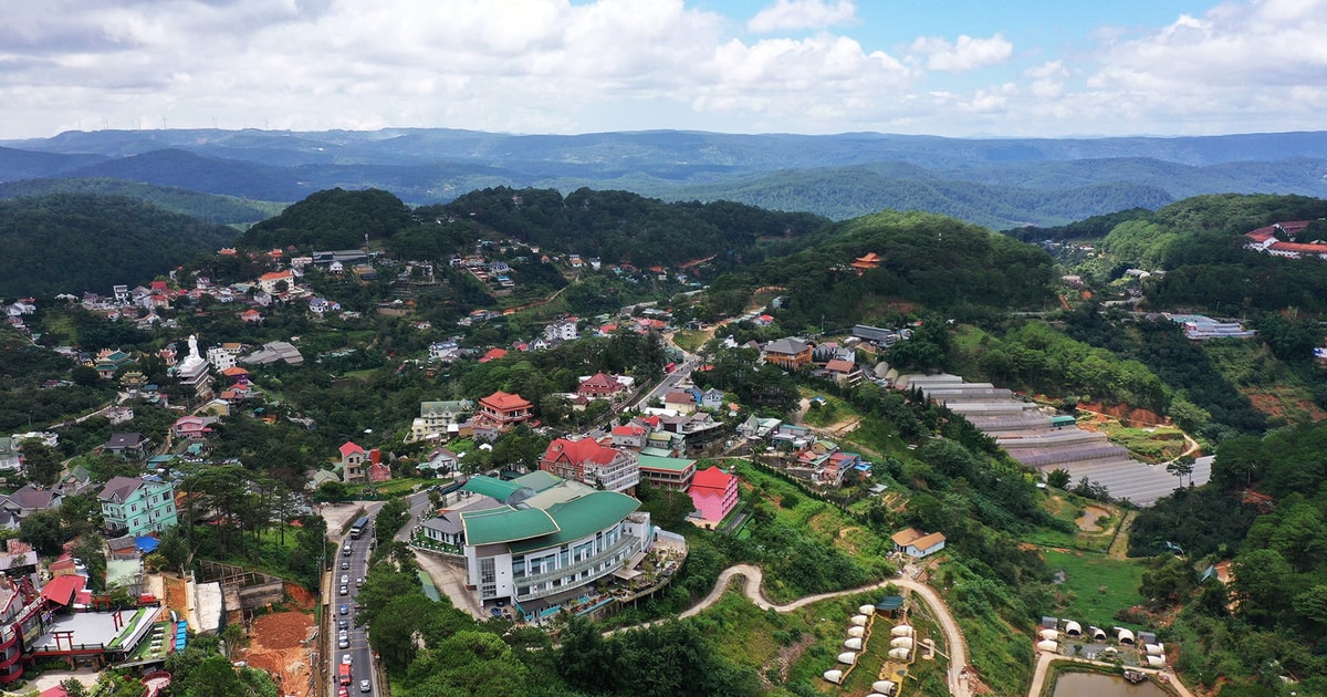 Lâm Đồng từ chối dự án trồng 350ha dược liệu trên đất rừng