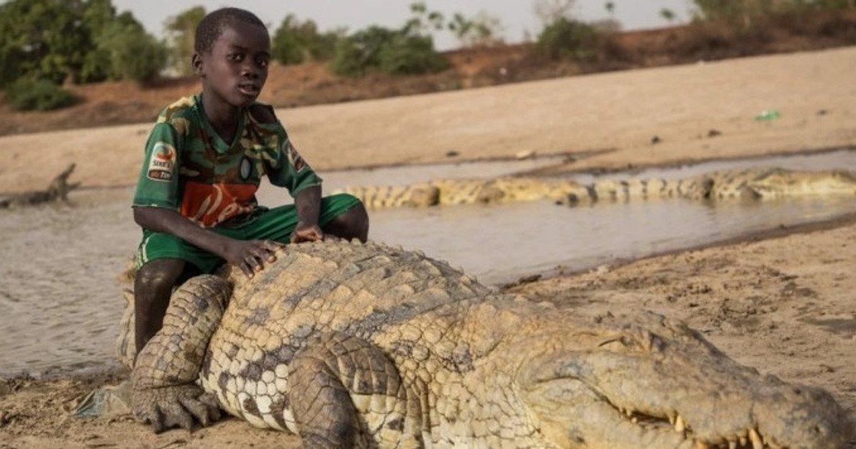 Vùng đất nơi phụ nữ, trẻ em tắm cùng hơn 100 con cá sấu dữ