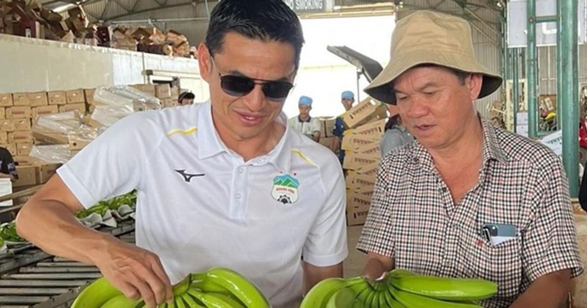 Doanh nghiệp của bầu Đức bán chuối thu về hơn 330 tỷ đồng