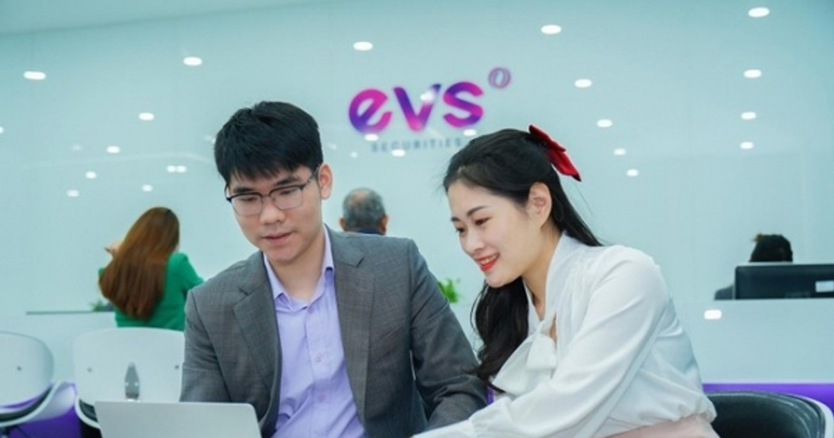 Cổ phiếu EVS giao dịch sôi động nhất lịch niêm yết, 1 cổ đông muốn bán 32 triệu cp