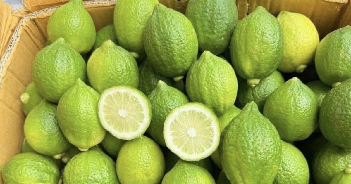 Giá chanh tươi Quảng Đông hạ nhanh, bưởi da xanh giảm mạnh