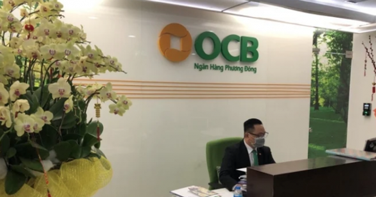 OCB bị 'thổi bay' 875 tỷ đồng lợi nhuận sau kiểm toán, 'ôm' mớ bất động ...
