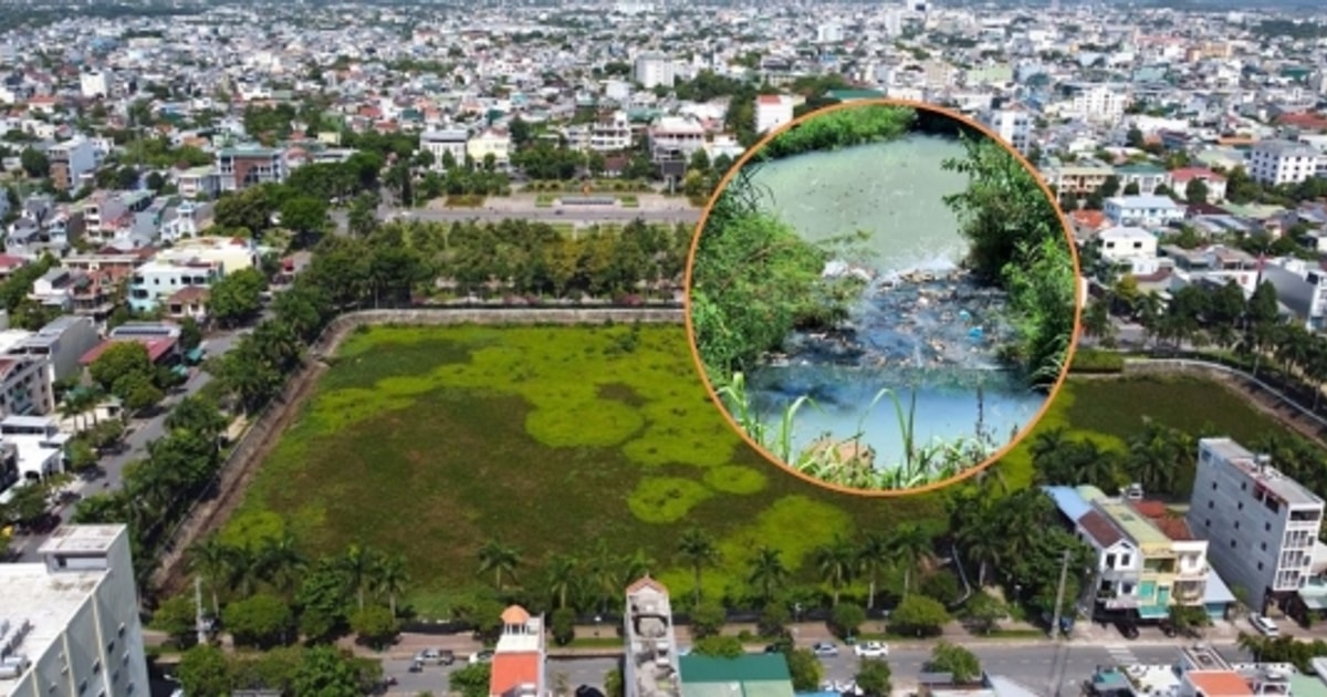 Tỉnh có huyện đảo 'thiên đường' chi 7,8 tỷ đồng để 'hồi sinh' hồ điều ...