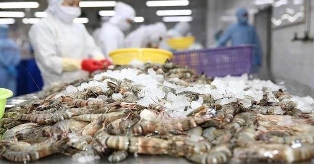 Xuất khẩu tôm đối diện nhiều thách thức