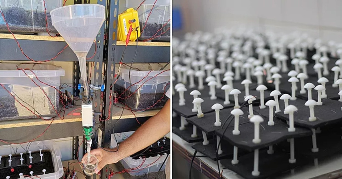 Đột phá pin từ vi khuẩn dưới lòng đất, hoạt động suốt ngày đêm