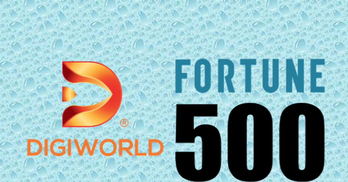 Fortune SEA 500: Cột mốc đặc biệt trên hành trình trở thành doanh nghiệp tỷ USD của Digiworld