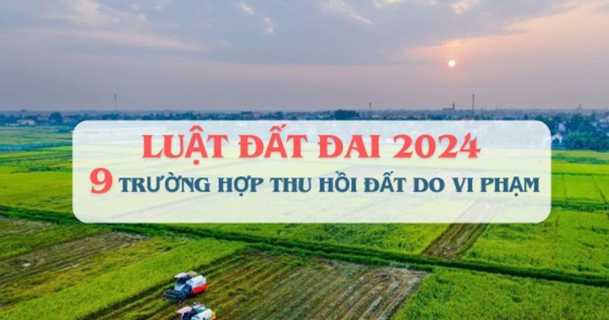 9 trường hợp sẽ thu hồi đất do vi phạm pháp luật về đất đai theo Luật ...