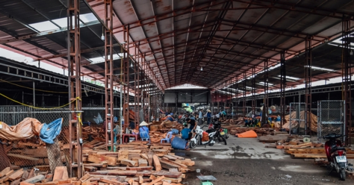 Khu chợ duy nhất Việt Nam bán gỗ quý có giá cả trăm triệu mỗi kg, cách ...