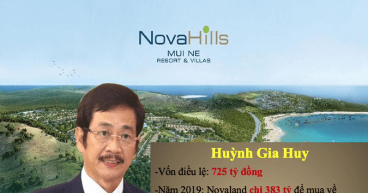 Bí ẩn Huỳnh Gia Huy, công ty con 'giá' 2 tỷ nhưng ghi lỗ 797 tỷ cho ...