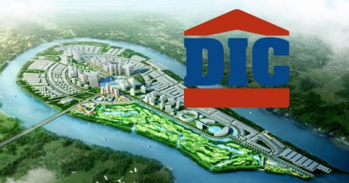 Nhiều sai phạm trong thoái vốn Bộ Xây dựng tại DIC Corp (DIG): Trách ...