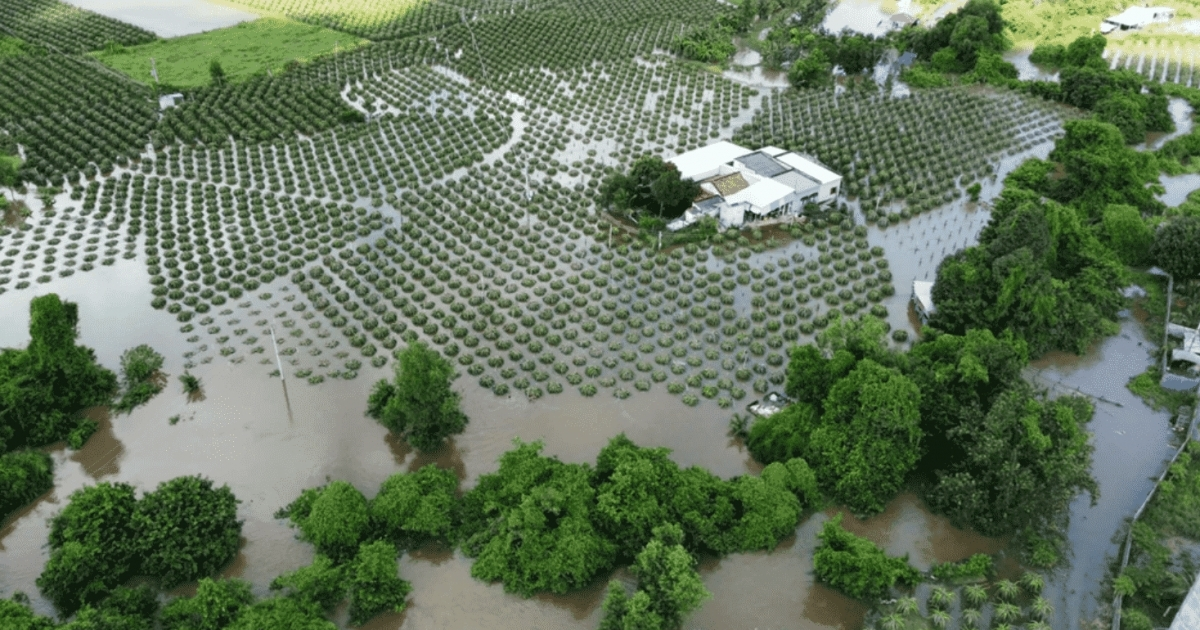 Bị cáo buộc gây ra 'trận ngập lịch sử', chủ đầu tư ở Bình Thuận chính ...