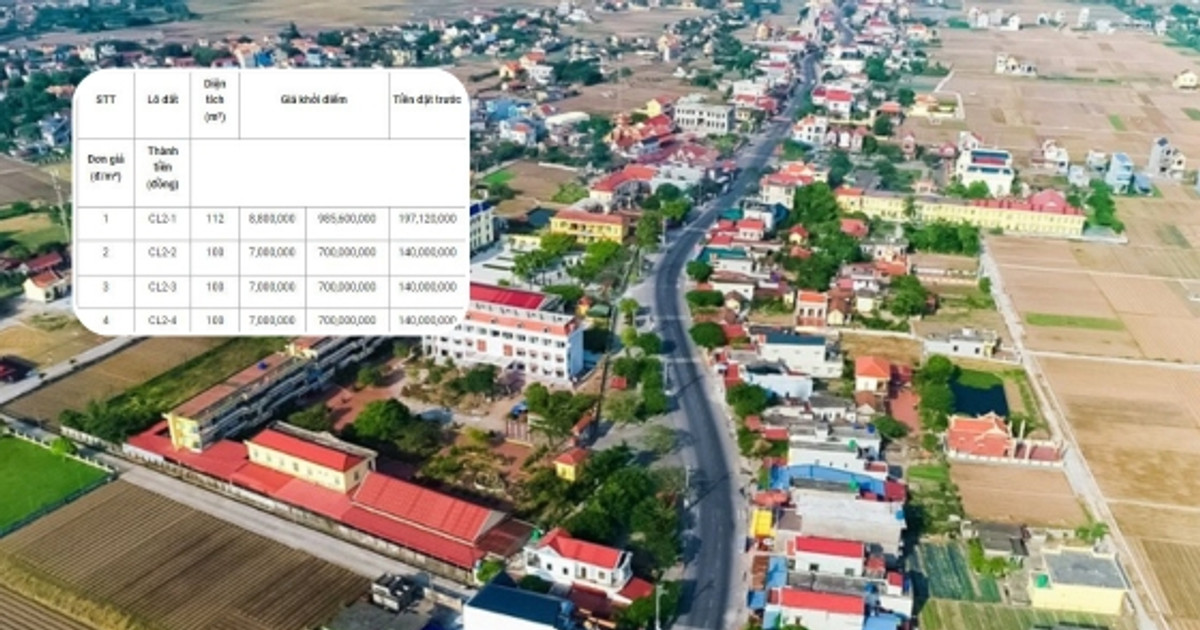 Huyện ven biển tỉnh Nam Định đưa 33 lô đất 'lên sàn', giá khởi điểm từ ...