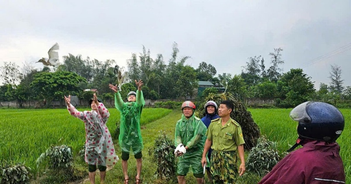 Hà Tĩnh: tiêu hủy trên 46.000 dụng cụ bẫy bắt chim di cư