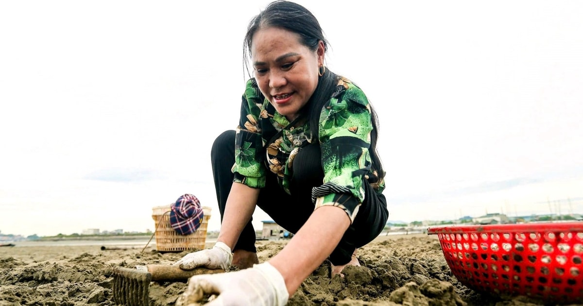 Từ nghề cào ngao, người phụ nữ Thanh Hóa thu trăm tỷ mỗi năm