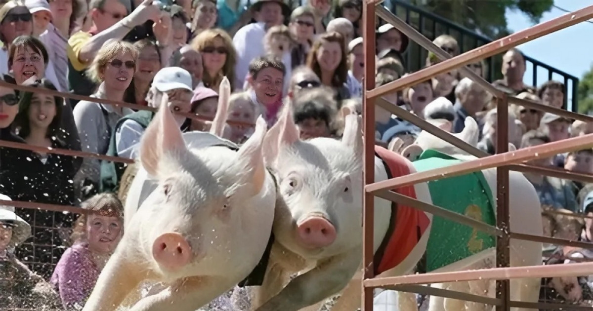 BAF giải thể công ty nông nghiệp, thâu tóm hàng loạt các doanh nghiệp ...