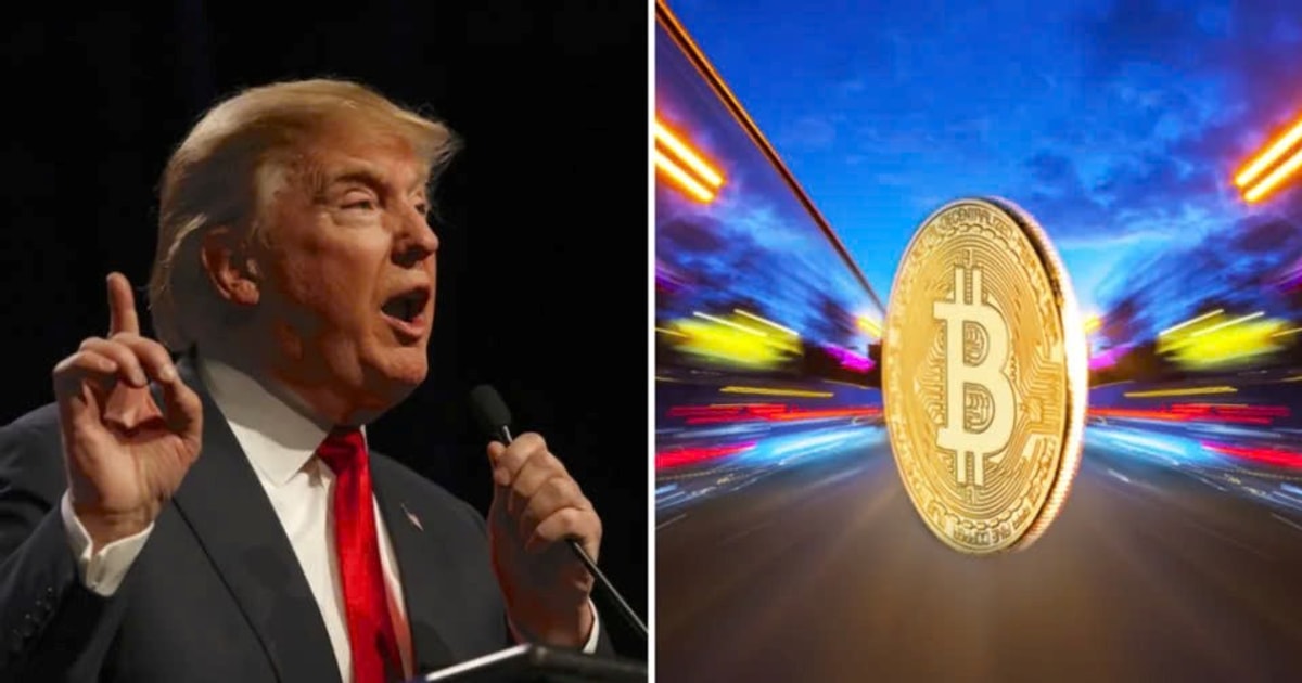 Hơn 50% tài sản ròng của ông Donald Trump là tiền điện tử?