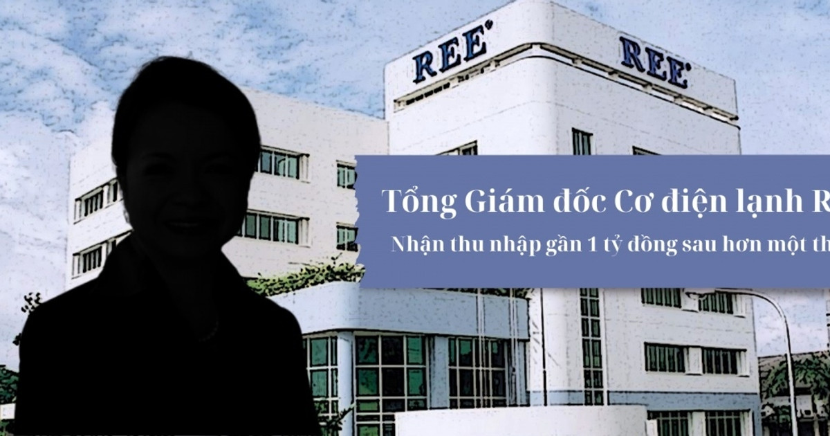 Tân Tổng Giám đốc REE: Nhận thù lao gần 1 tỷ đồng một tháng, sở hữu khối tài sản lên đến 4.000 ...
