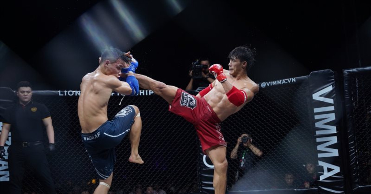 Giám đốc công ty võ thuật tham gia HĐQT doanh nghiệp địa ốc phía Nam