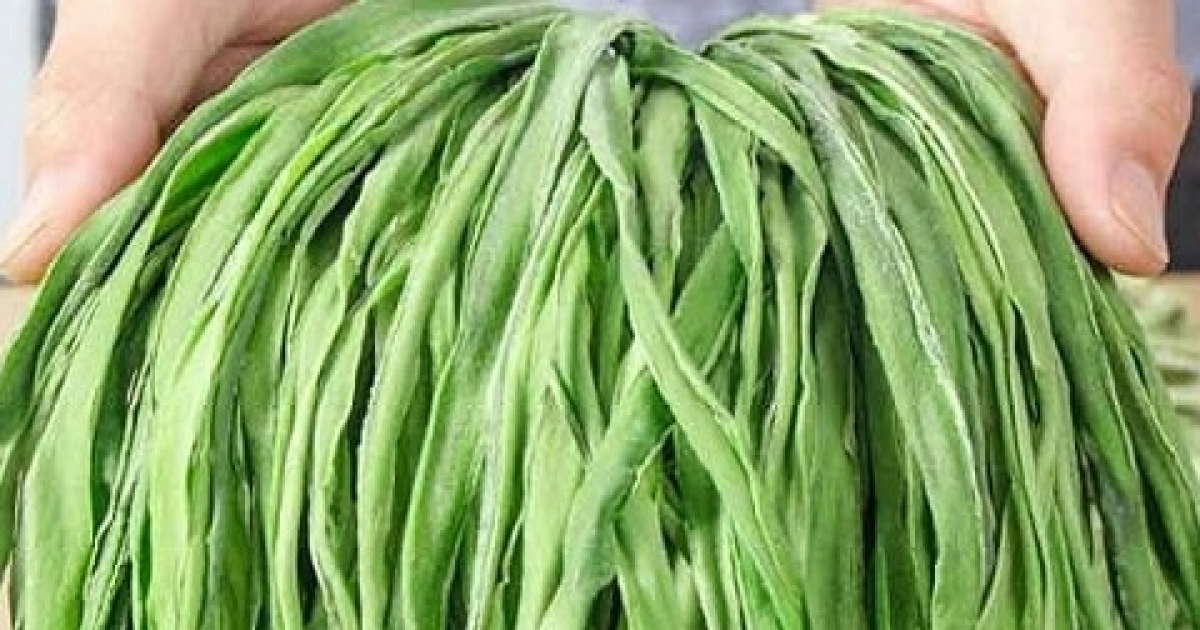 Rau 'quý tộc' một thời nay lên ngôi đặc sản đắt đỏ, vạn người mê: Giá ...