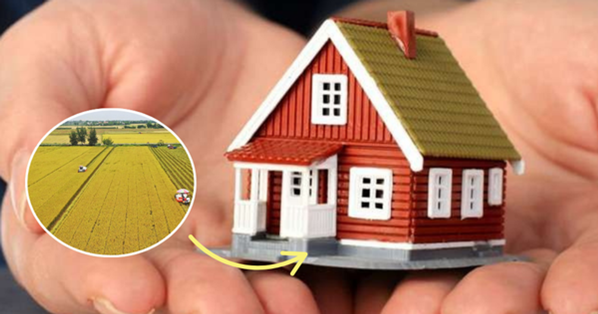 Kể từ nay, chuyển đất nông nghiệp sang đất thổ cư cần đặc biệt chú ý ...