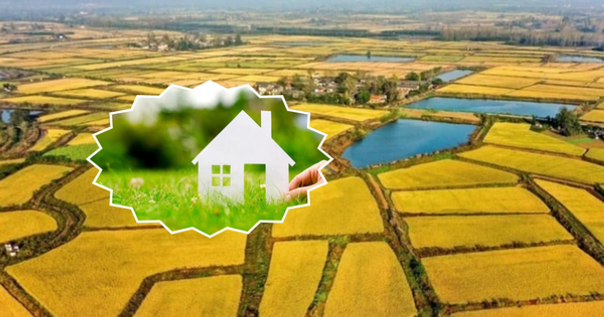 Đề xuất tăng giá đất nông nghiệp bằng 60-70% đất thổ cư: Giảm gánh nặng ...