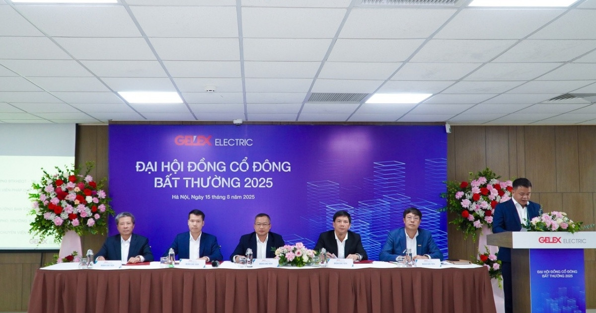 Lãnh đạo GELEX Electric (GEE) trả lời cổ đông về tin chuyển nhượng cổ ...