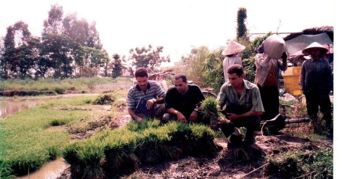Chuyên gia Việt Nam đầu tiên vượt nửa vòng Trái Đất, sang Cuba trồng lúa