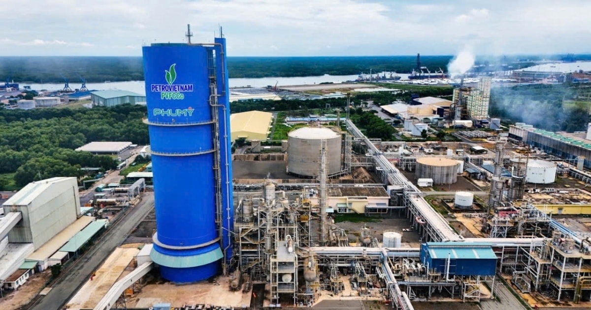 Đạm Phú Mỹ (DPM): 21 năm bền bỉ truyền thống sáng tạo, gắn kết và sẻ chia