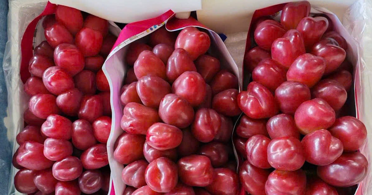 Loại nho mới của Trung Quốc đổ bộ chợ Việt: Hình dáng đặc biệt, giá đắt gấp 10 hàng ‘quý tộc’