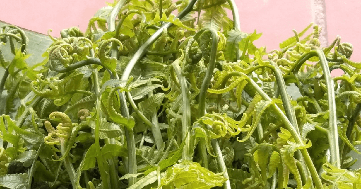 Loại rau được người Trung Quốc xem như 'rau trường sinh'