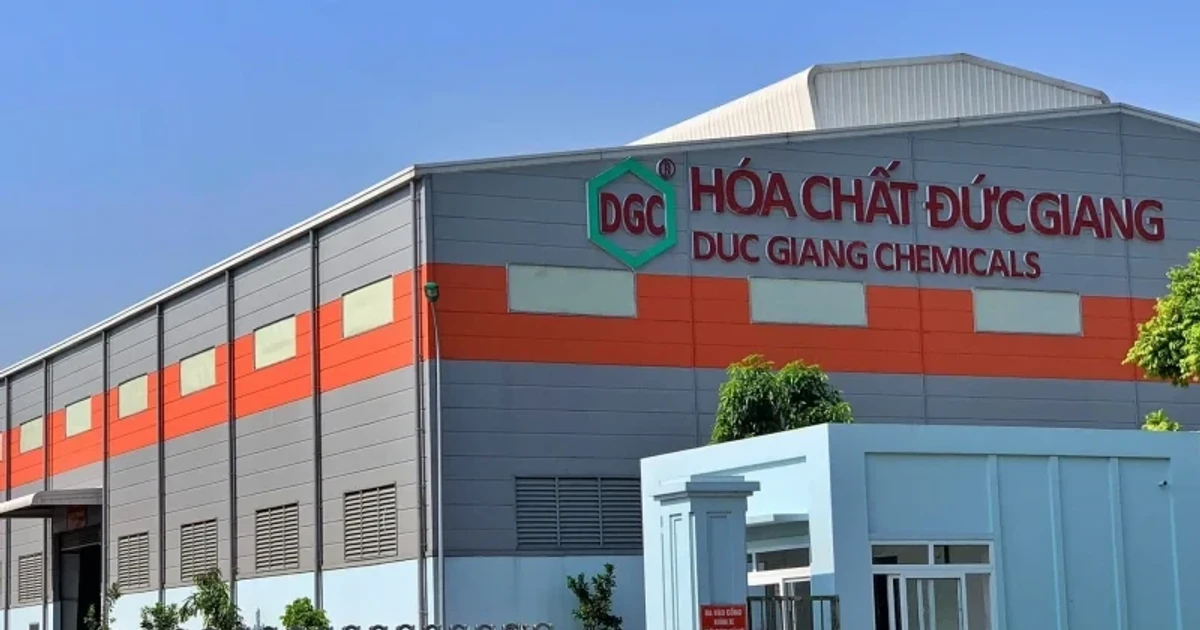 Cổ phiếu DGC giảm sàn hai phiên liên tiếp, điều gì đang xảy ra với Hóa ...