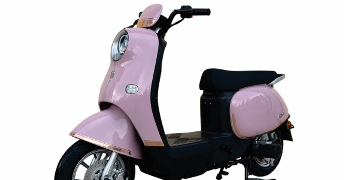 Xe điện 'mini' giá gần 19 triệu, đi tới 100km/lần sạc: Điều gì khiến ...
