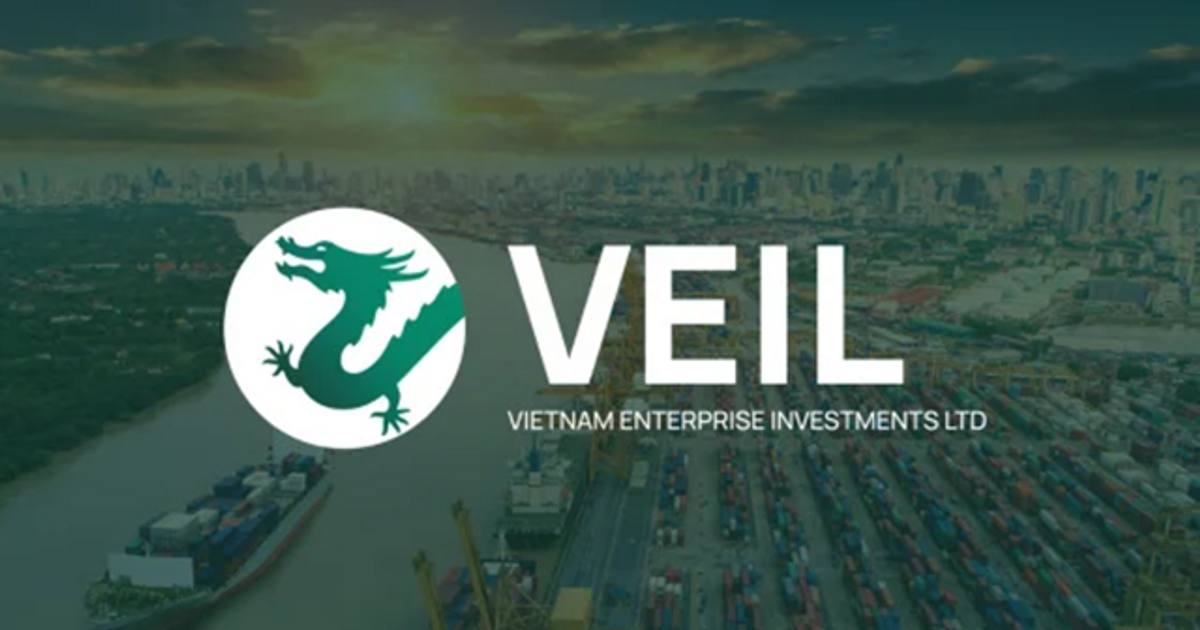 VEIL hụt nhịp: Bài toán tỷ trọng tại quỹ đóng 1,63 tỷ USD thuộc Dragon ...