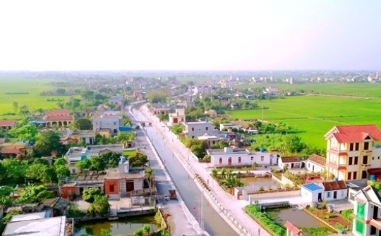 Nam Định đấu giá hơn 200 lô đất, khởi điểm từ 11 triệu đồng/m2