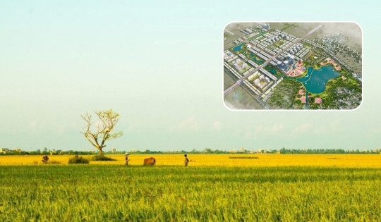 'Vựa lúa' miền Bắc sắp đón KĐT hơn nghìn tỷ với quy mô dân số 2.000 người