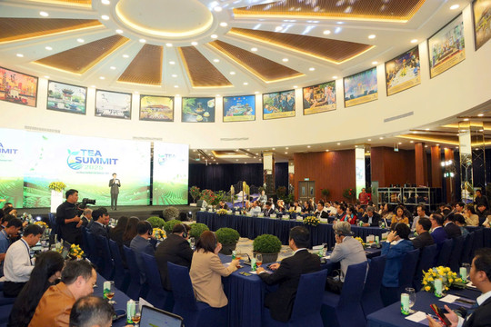 Tea Summit 2025: 'Trà – Thức uống của tương lai' và hành trình kiến tạo chuẩn giá trị mới cho ...