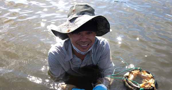 Đội nắng, ngâm mình trong bùn đào đặc sản giải nhiệt ở Đà Nẵng